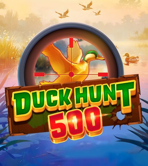 Duck Hunt 500